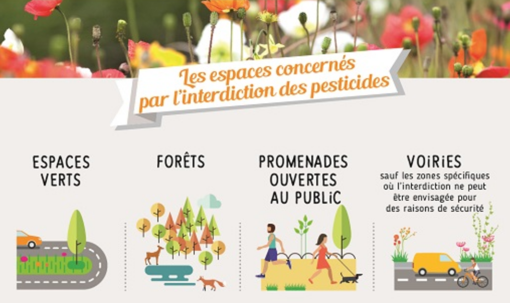 Les pesticides interdits dans les espaces verts en 2017 | L'Isle-Adam